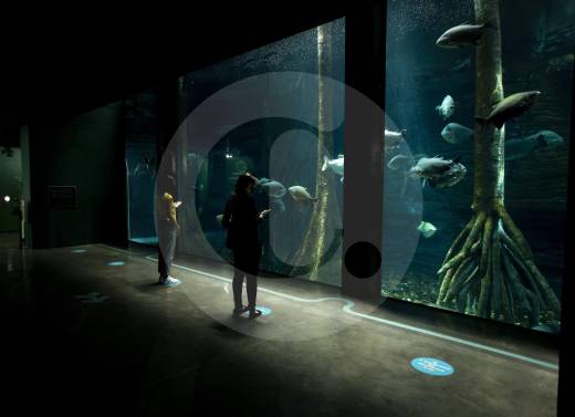 El Parque Explora reabrirá sus puertas desde el 1 de julio