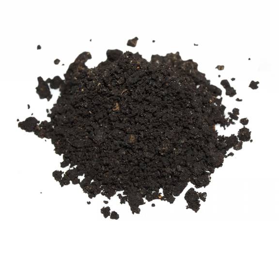 ¿Qué dice la forma y el color del popó sobre su salud?