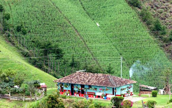 Lo que debe saber para construir vivienda rural