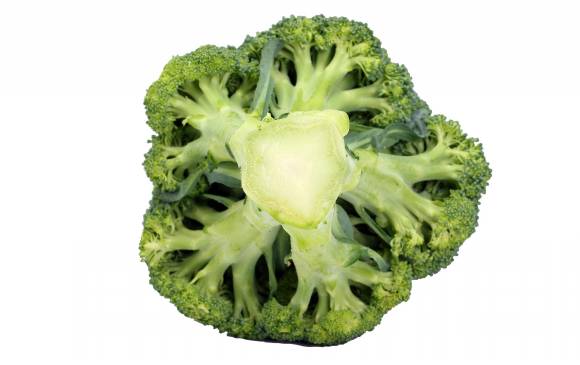 ¿Qué dice la forma y el color del popó sobre su salud?