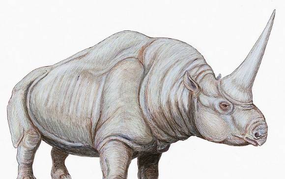 El ‘unicornio’ que se extinguió en Siberia hace 35 mil años