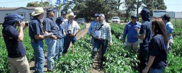 Promotora vinculó un socio para Ecoflora