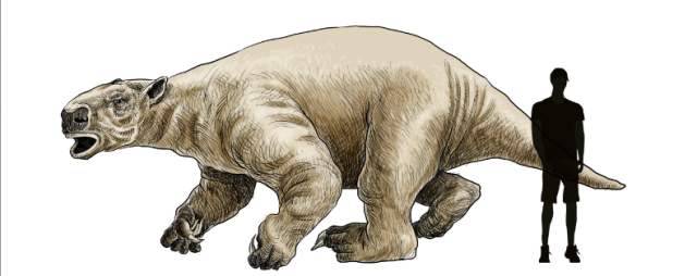 megaterio-640x280-16022013.jpg (640×254) | Paleontología, Fosiles