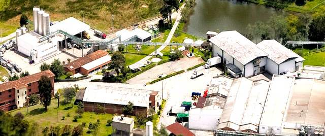 Al día, Colanta pulverizará 400.000 litros de leche