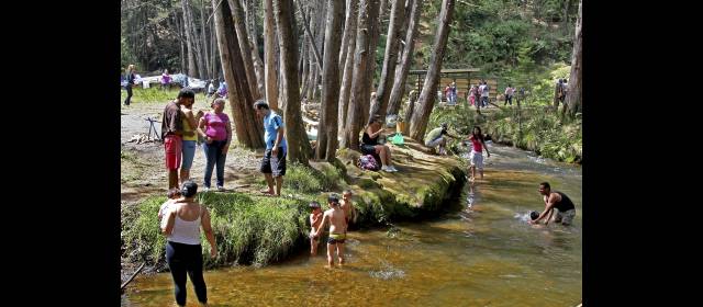 El parque Arví completa más de 600 mil visitantes