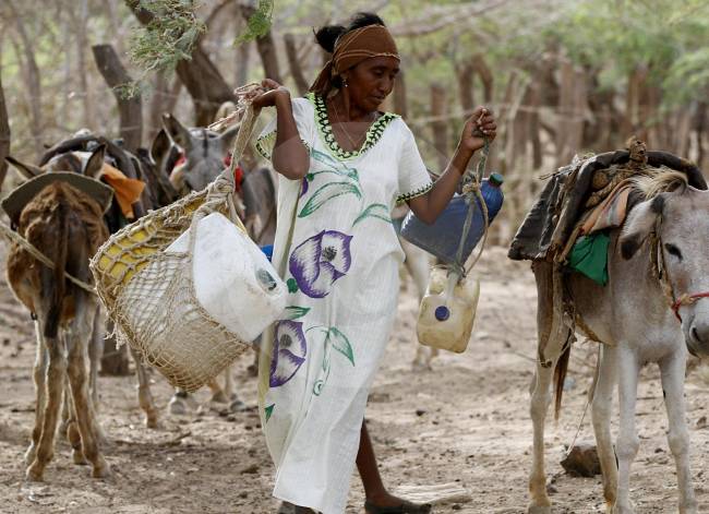 Indígenas y afros van a Cuba a defender sus tierras