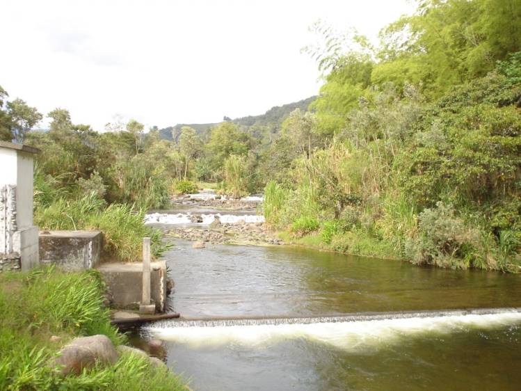 Tribunal reconoce al río Quindío como sujeto de derecho