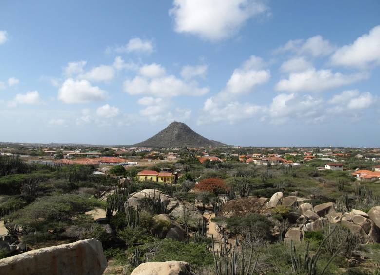 Aruba: cinco planes para una isla del Caribe