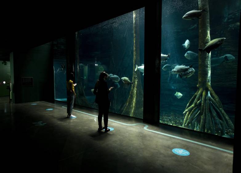 El Parque Explora reabrirá sus puertas desde el 1 de julio