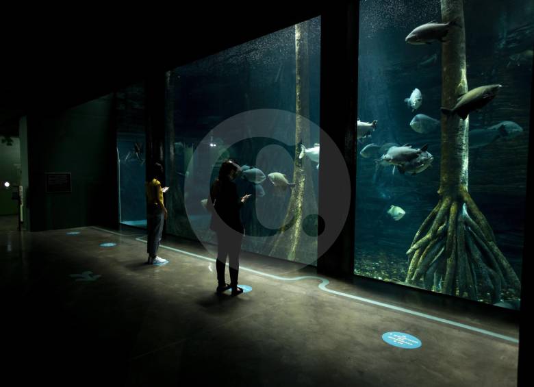 El Parque Explora reabrirá sus puertas desde el 1 de julio