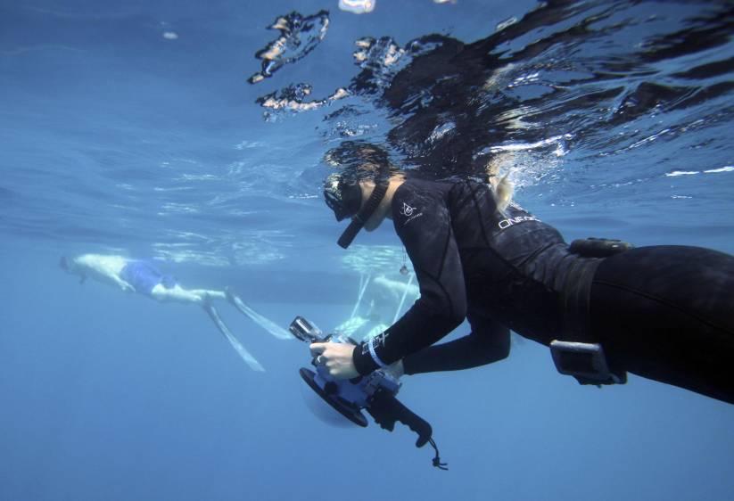 Así es una excursión de buceo con tiburones en Hawái