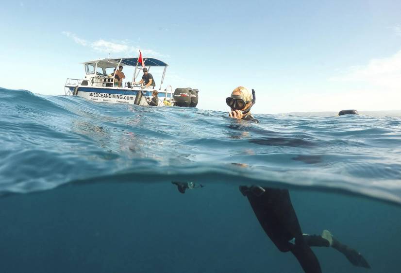 Así es una excursión de buceo con tiburones en Hawái