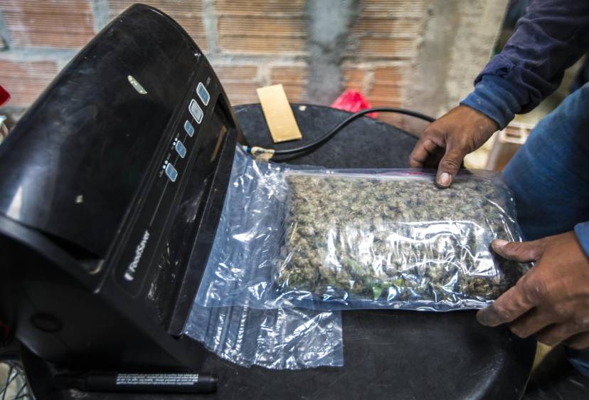 Así producen la cripa más famosa de Suramérica