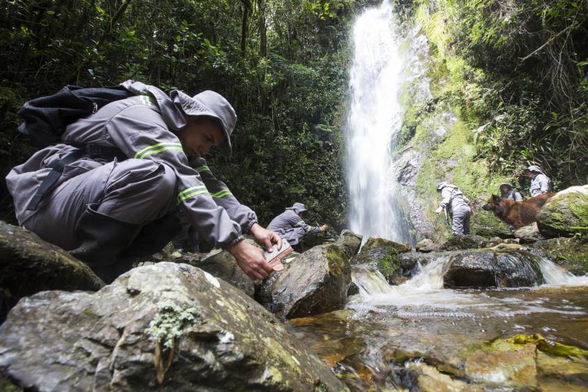 Guardabosques, custodios de la soledad del monte