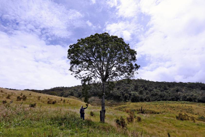 Espacios naturales que encantan