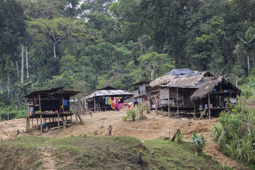 Indígenas denuncian desplazamiento provocado por el accionar del Eln