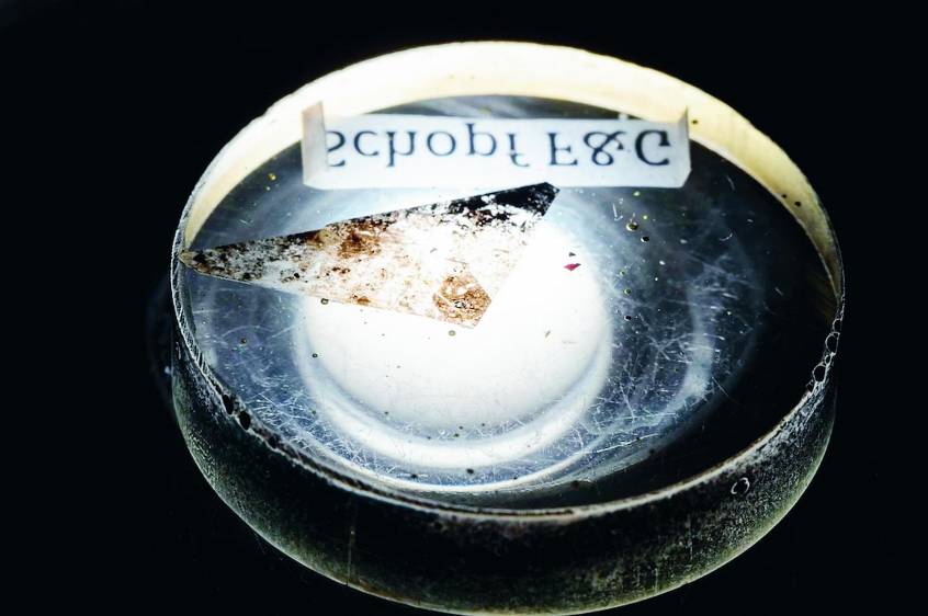 Microfósiles revelan origen de la vida en la Tierra