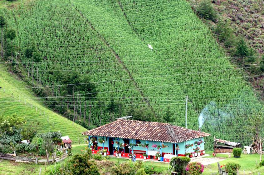 Lo que debe saber para construir vivienda rural