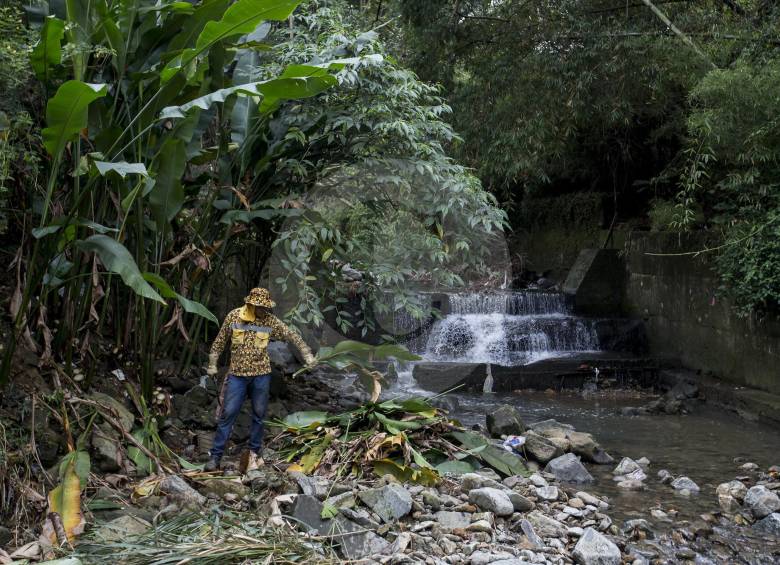 Recuperación de quebrada La Presidenta, un reto en El Poblado