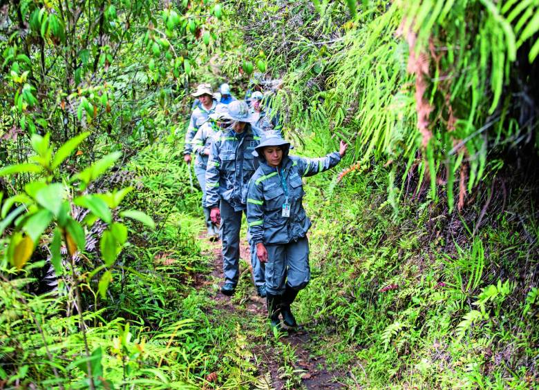 Bosques tendrán a 77 nuevos protectores