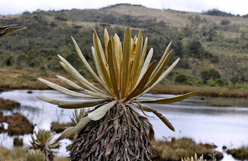 Espacios naturales que encantan
