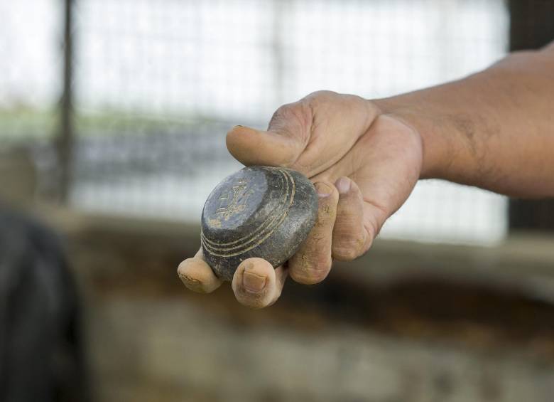 El tejo recibe reconocimiento nacional