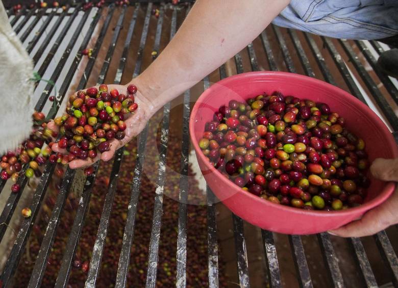 Mucílago para el cuidado de la salud y del medio ambiente
