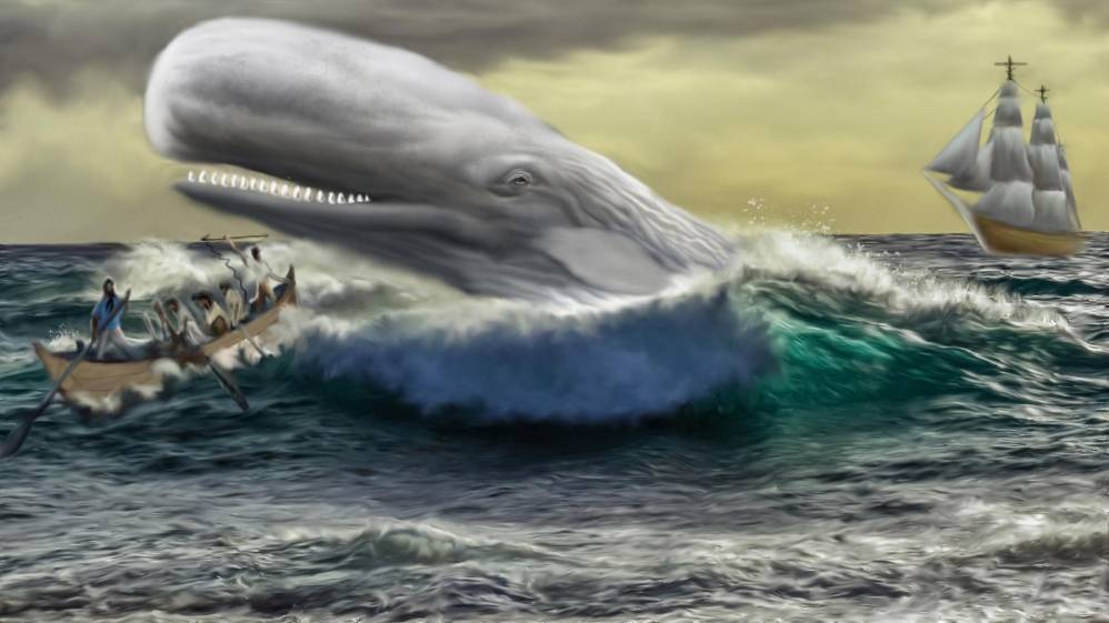 La historia de Moby Dick, la temible ballena presente en la Fiesta del ...